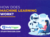 Practice Problems On Array In C Study Trigger